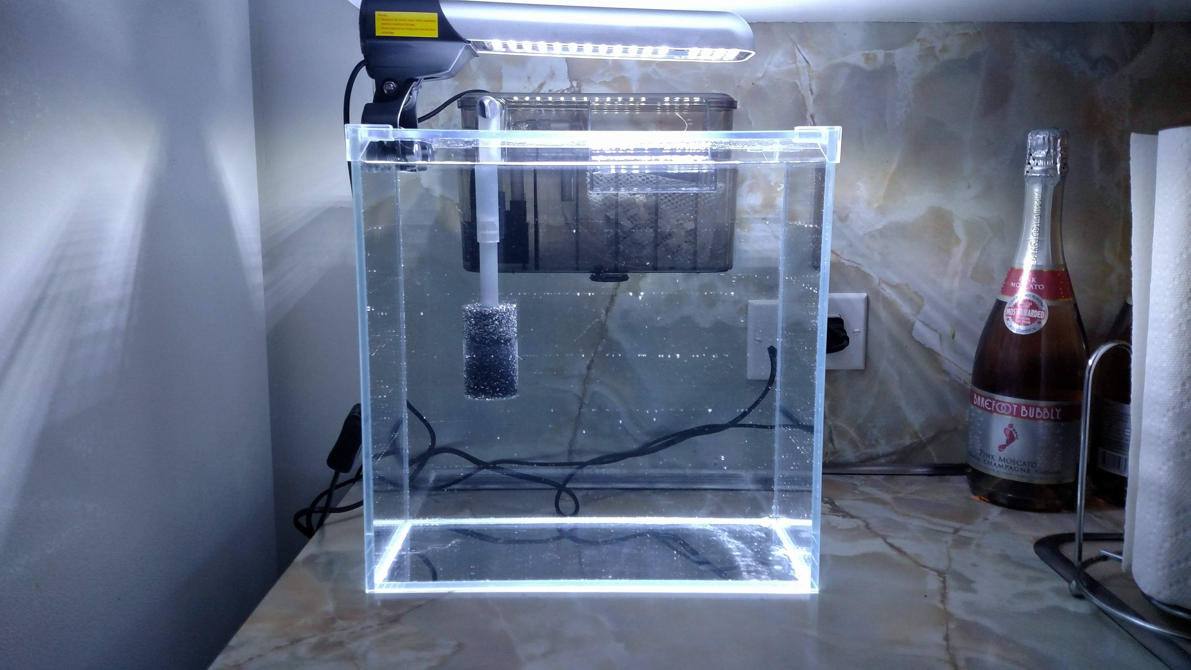 New 4 Gallon Nano | Scrolller