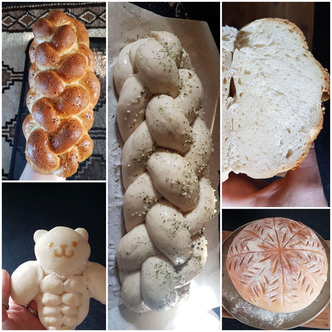 New apartment new oven. Sneaky buff bear. | Scrolller