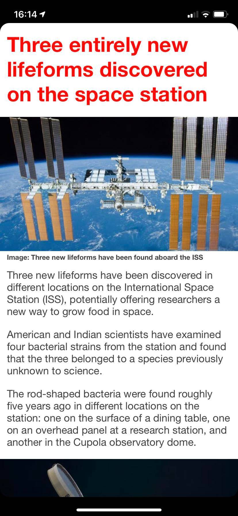 New bacteria | Scrolller