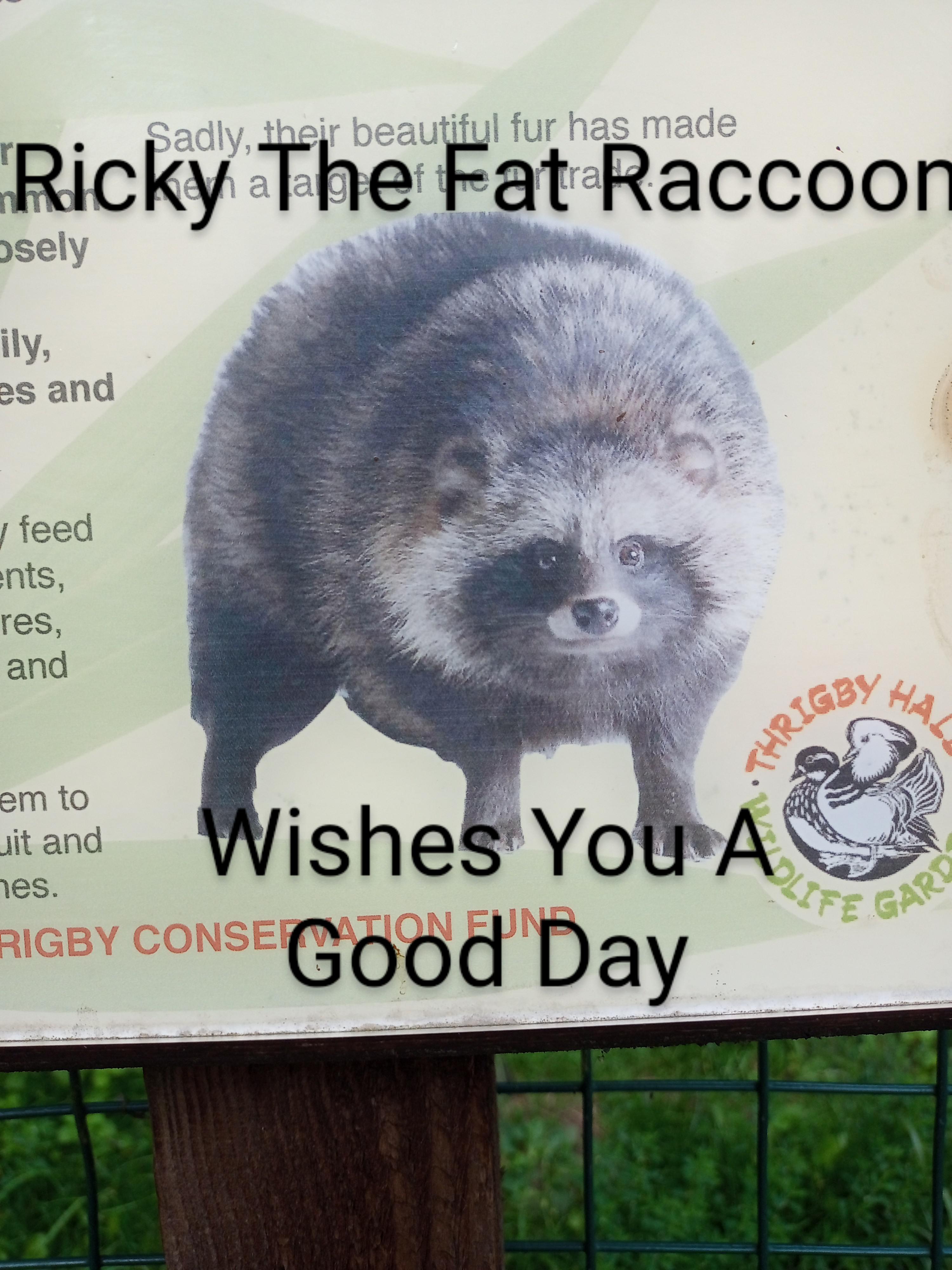 New format? | Scrolller