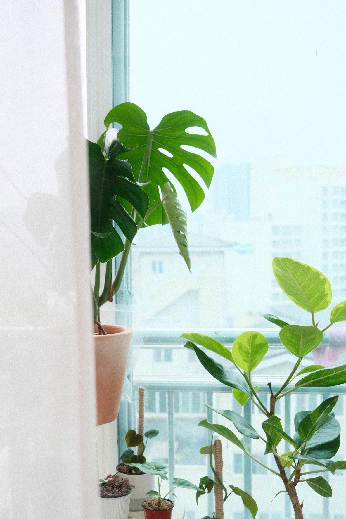 New leaf is on the way 🌱💚 | Scrolller