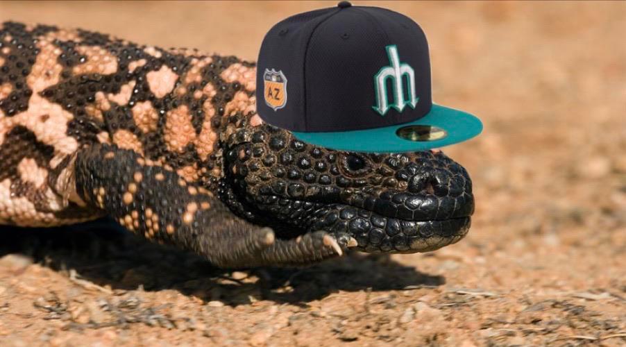 New mascot of the Peoria Mariners | Scrolller