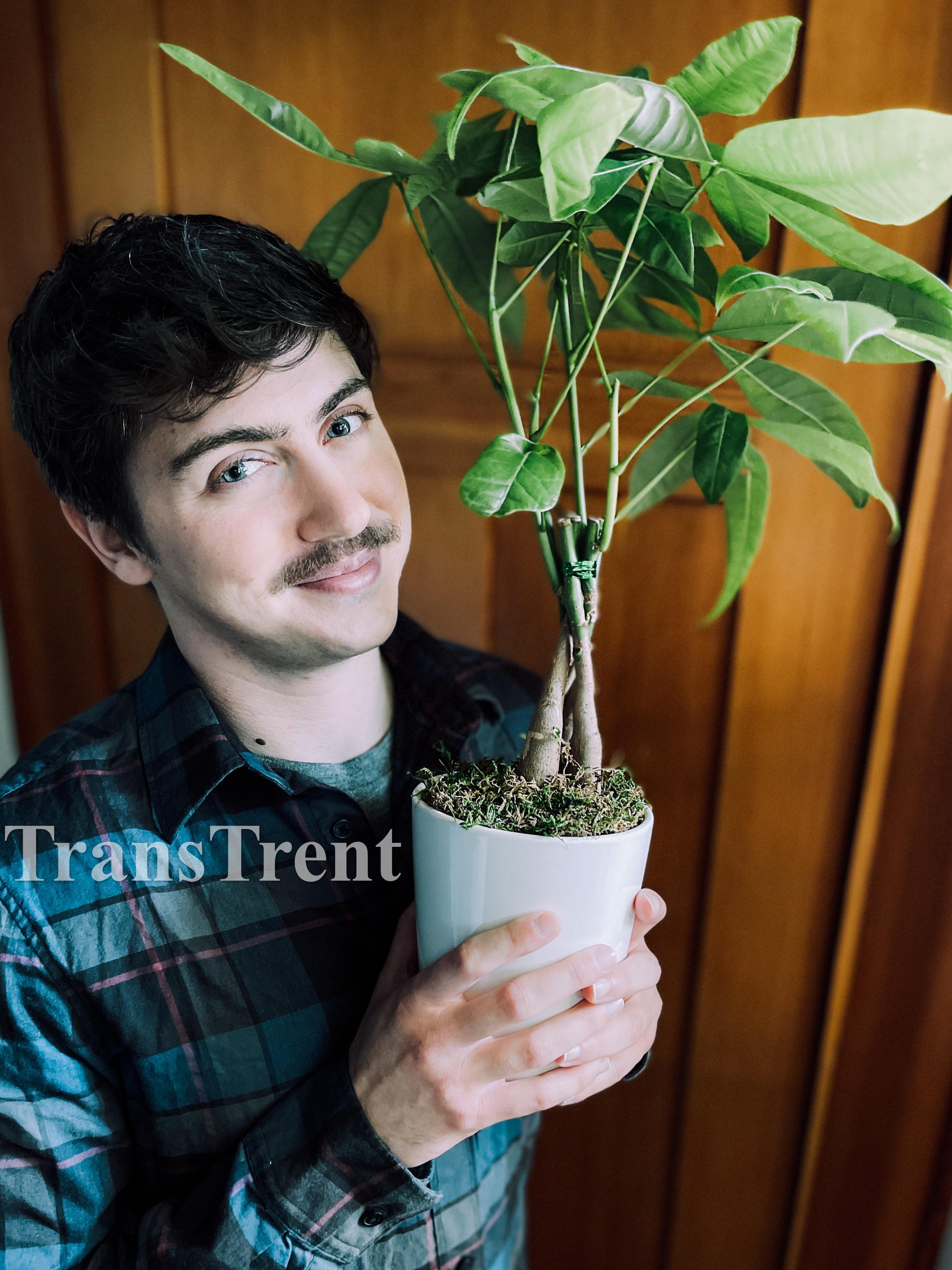 New plant 🪴 | Scrolller