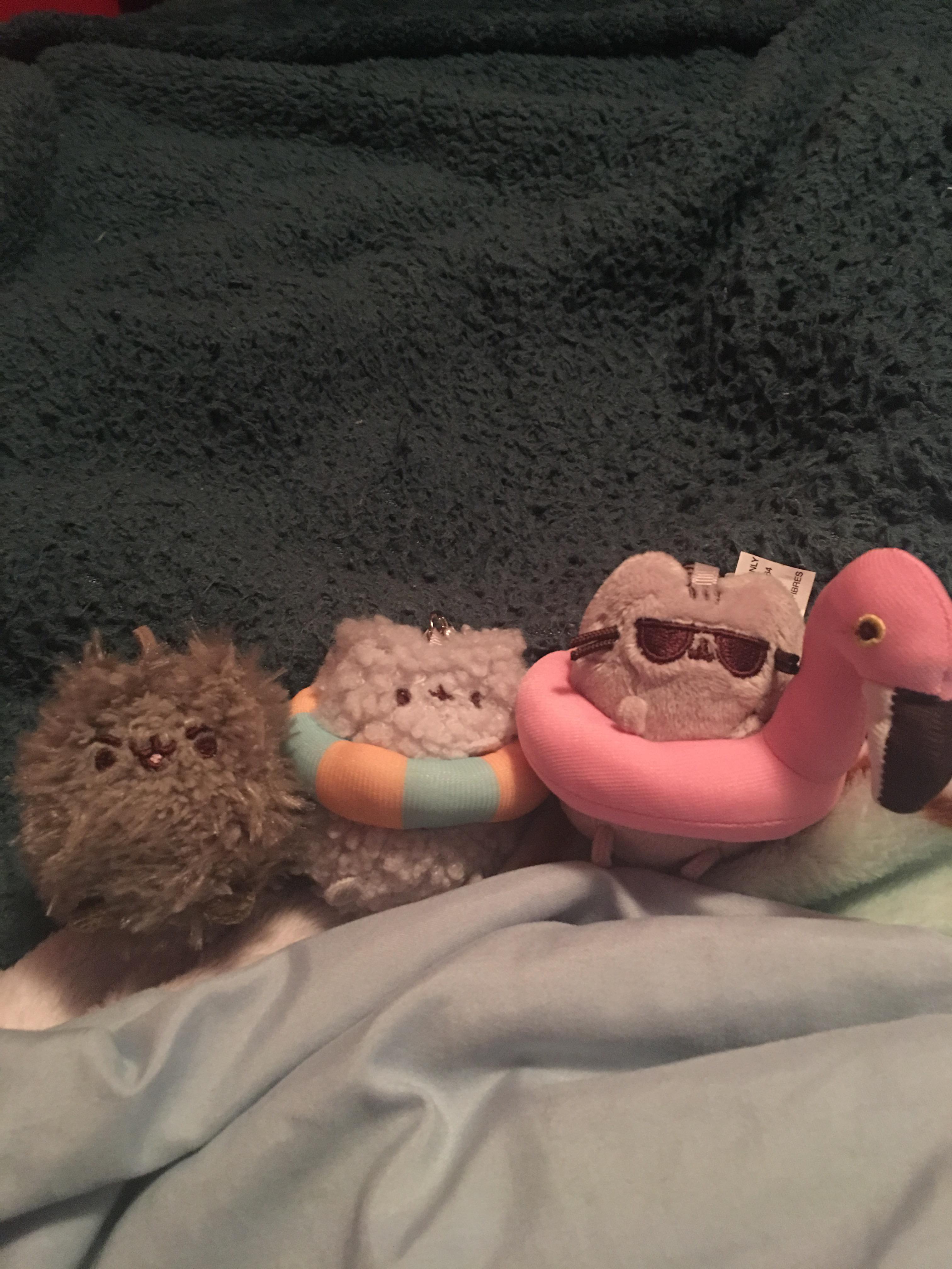 New pusheen summer blind box finds | Scrolller