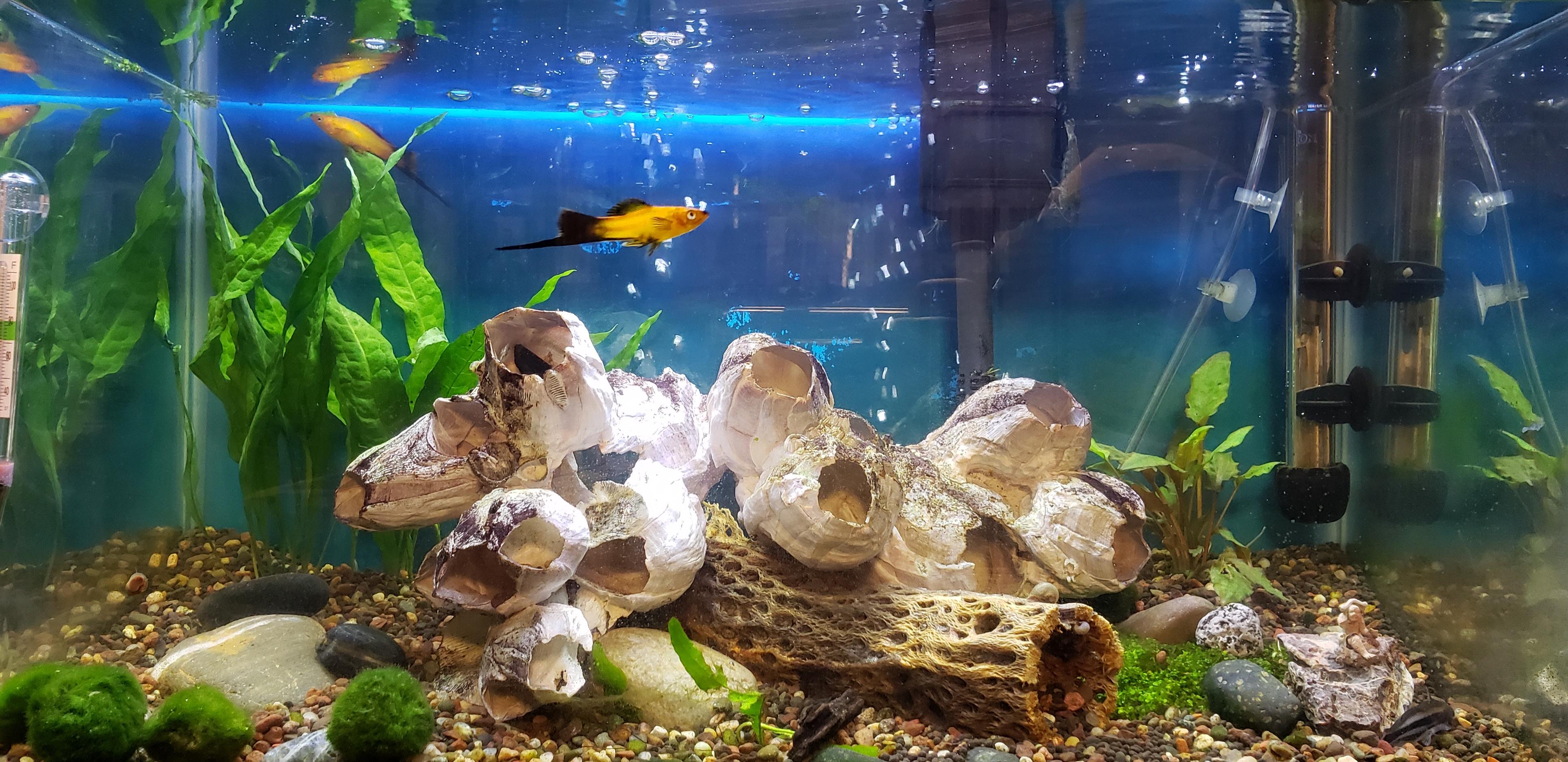 New set up | Scrolller