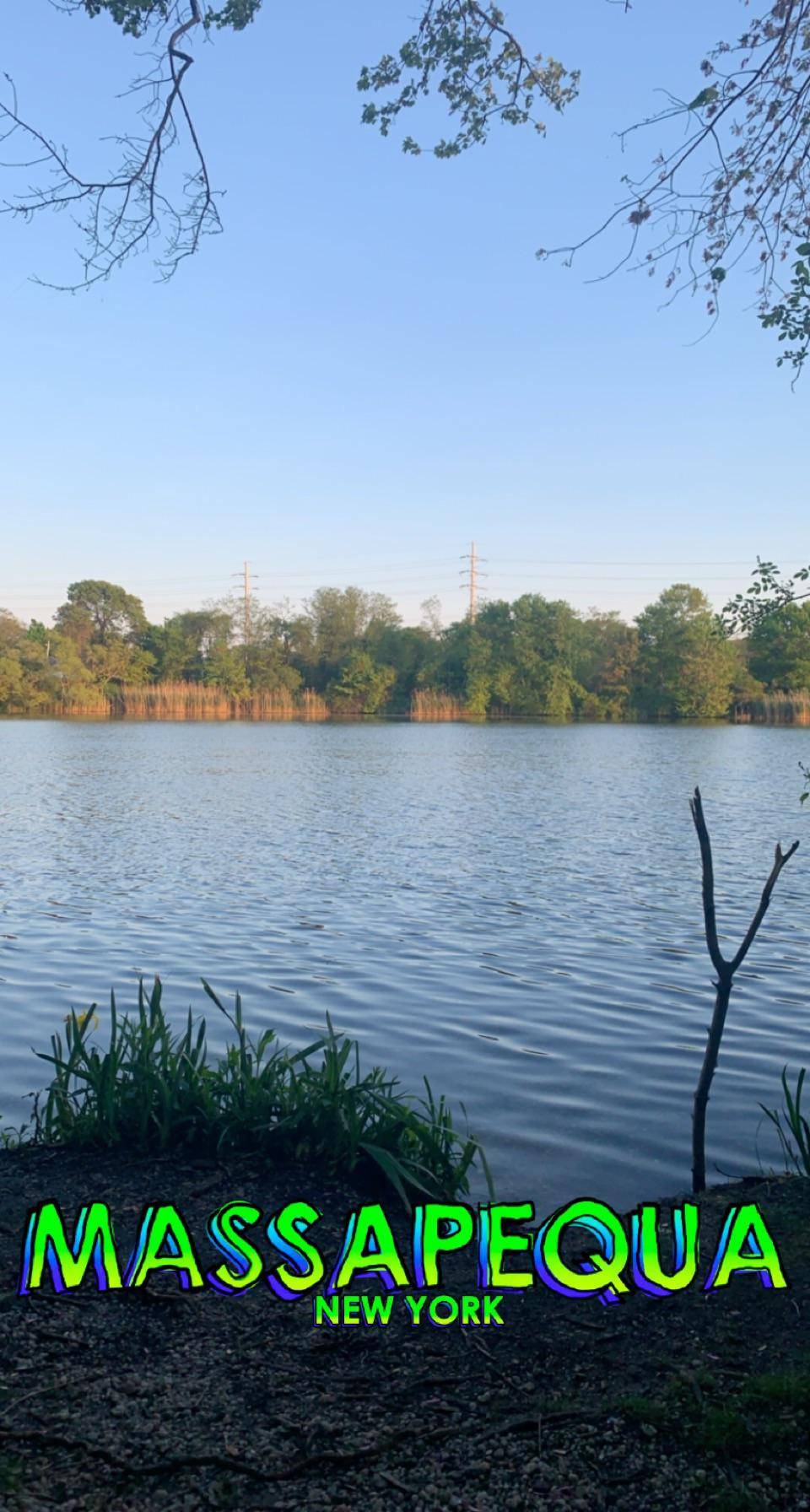 new spot | Scrolller