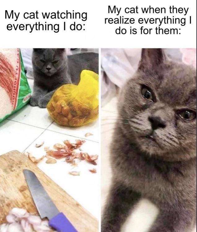 New template: | Scrolller