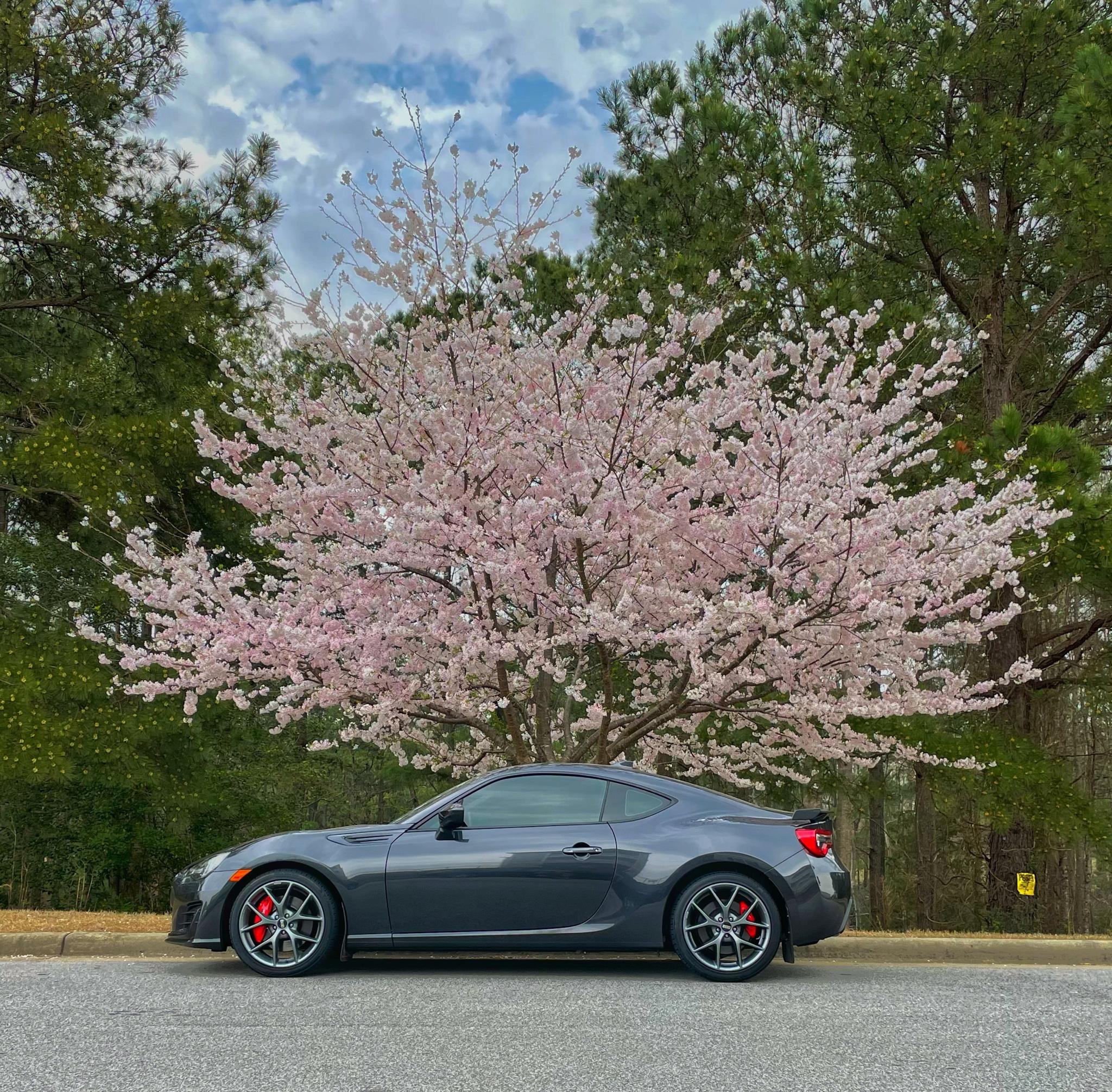 New Wheels | Scrolller