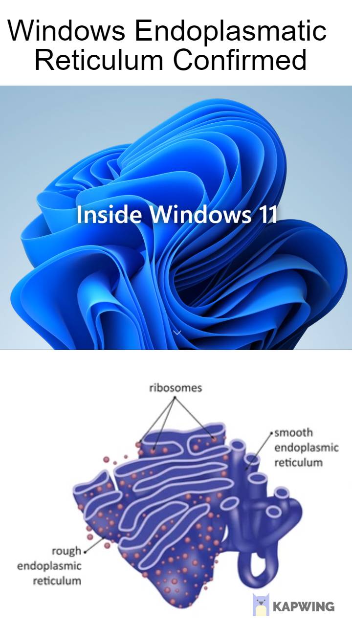 New Windows 11 feature | Scrolller