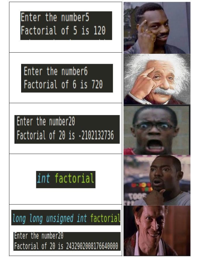 Newbies vs Datatypes | Scrolller