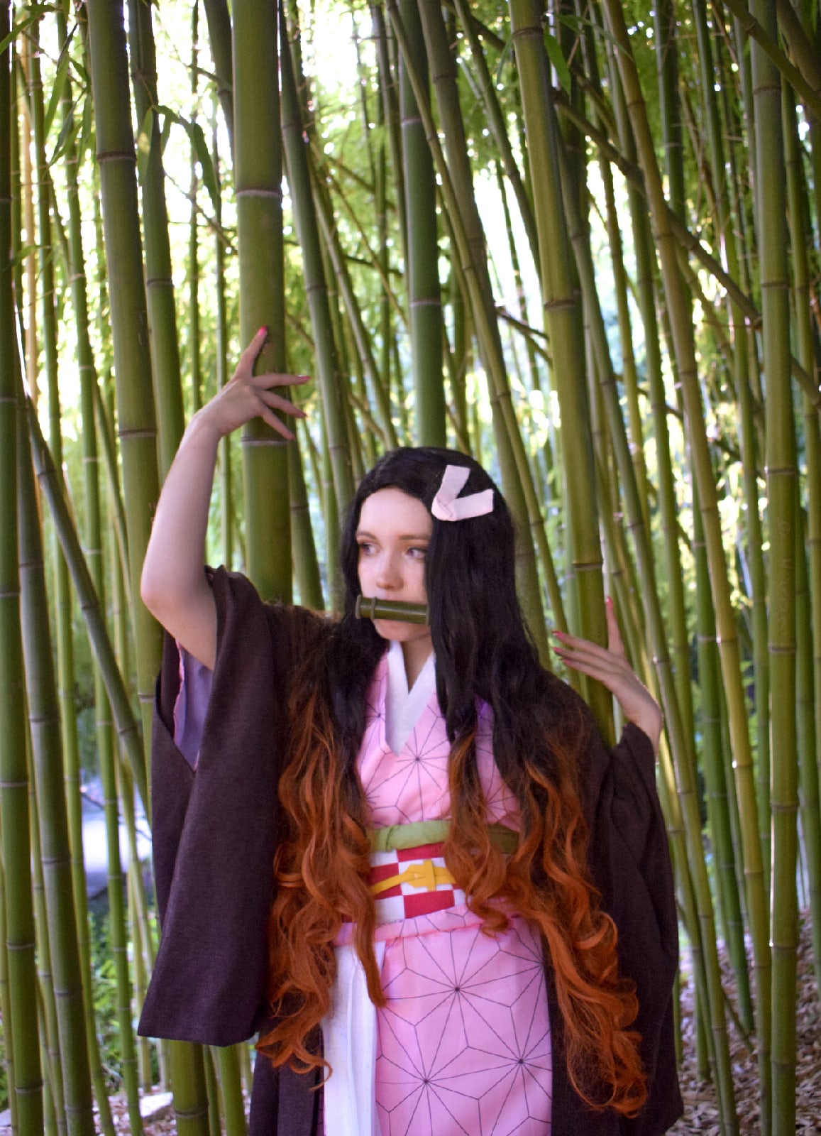 Nezuko Scrolller