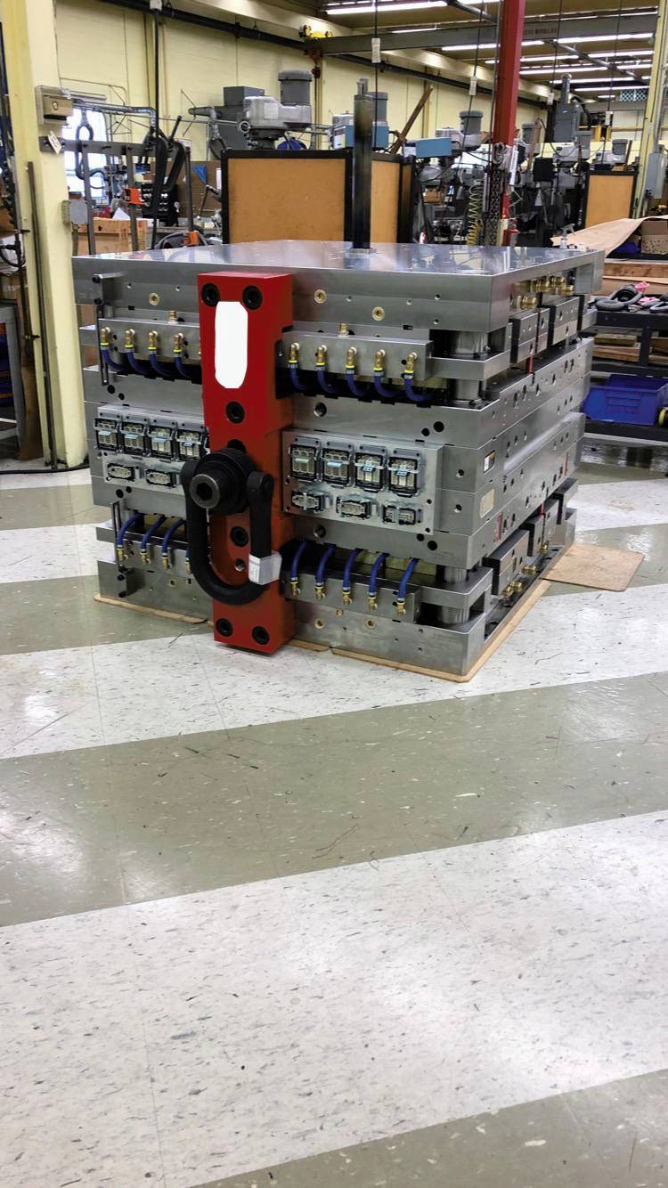 Nice big mold we just built | Scrolller