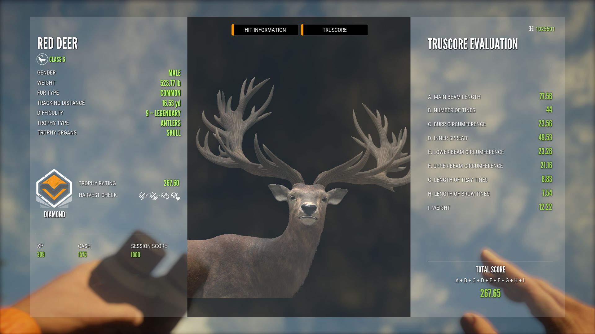 Nice Red Deer | Scrolller
