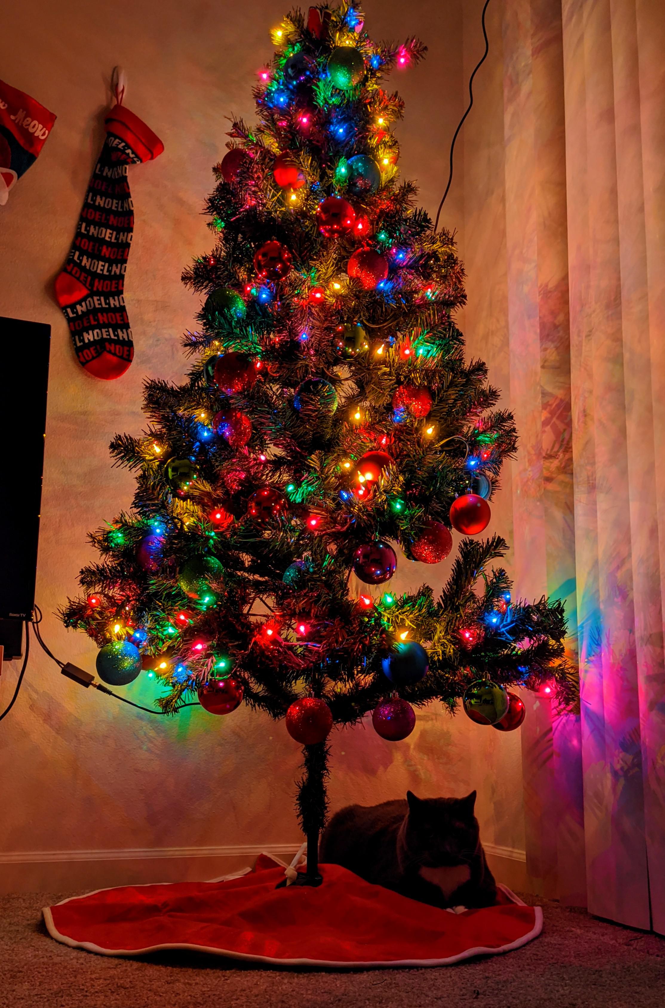 Night Sight with Pixel 4 XL - Christmas Tree | Scrolller