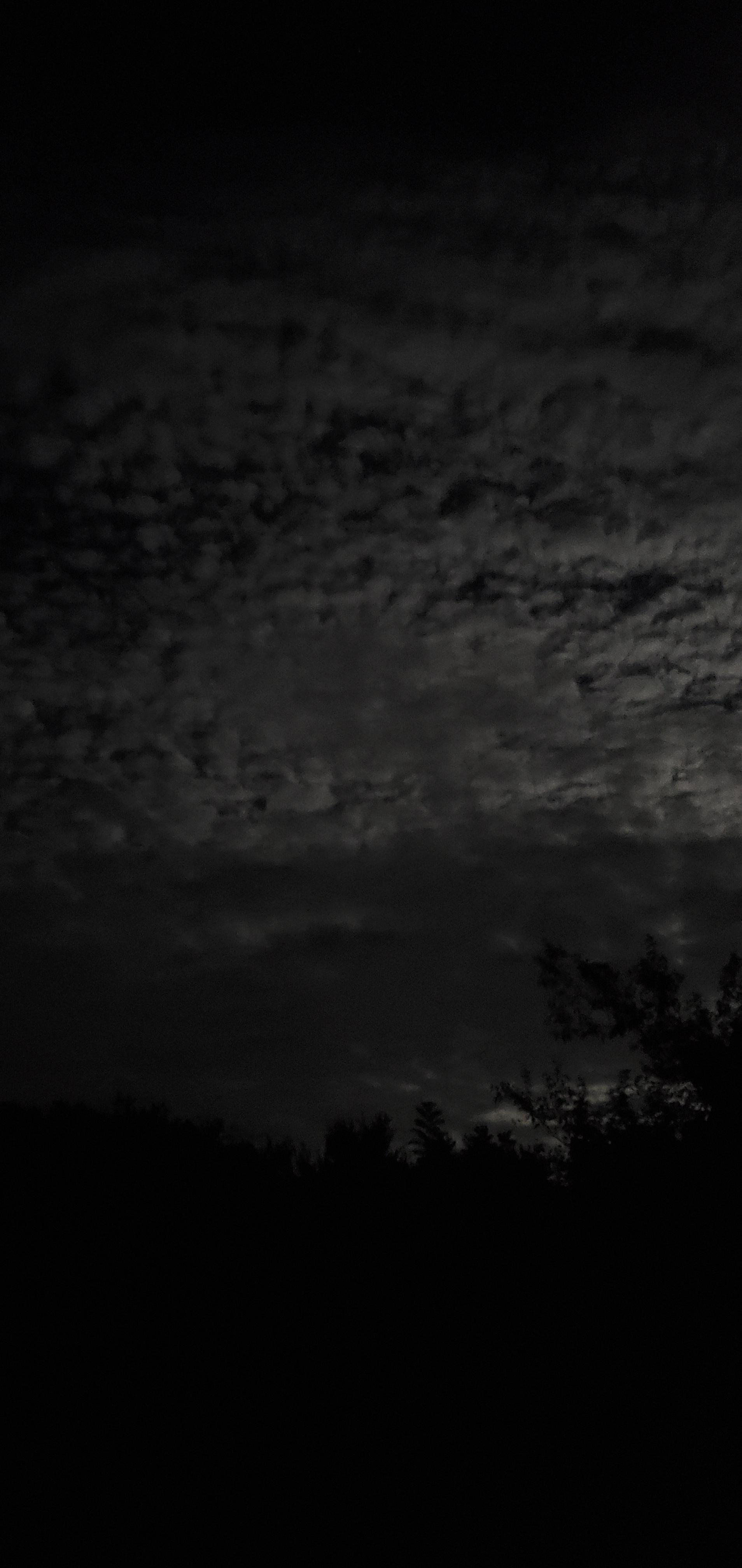 Night sky | Scrolller