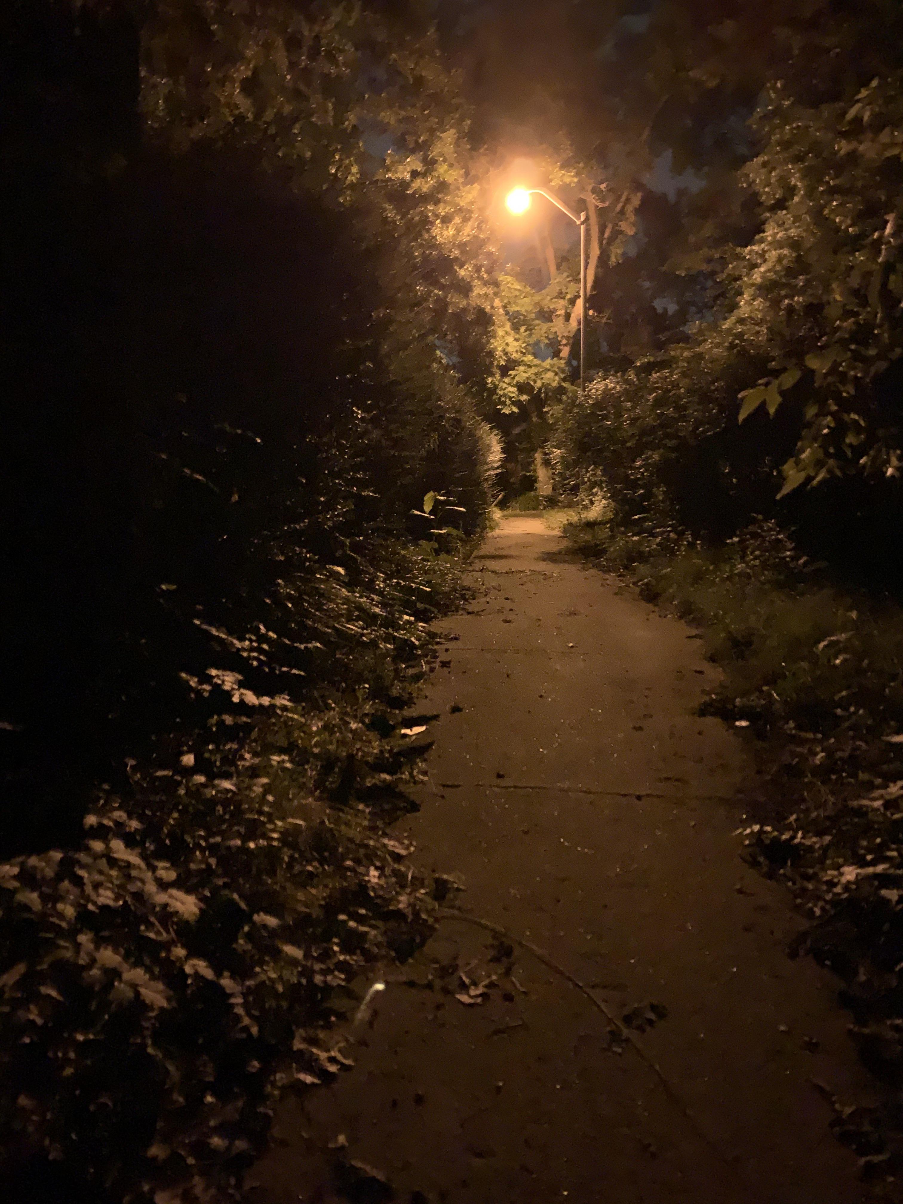 Night walks | Scrolller