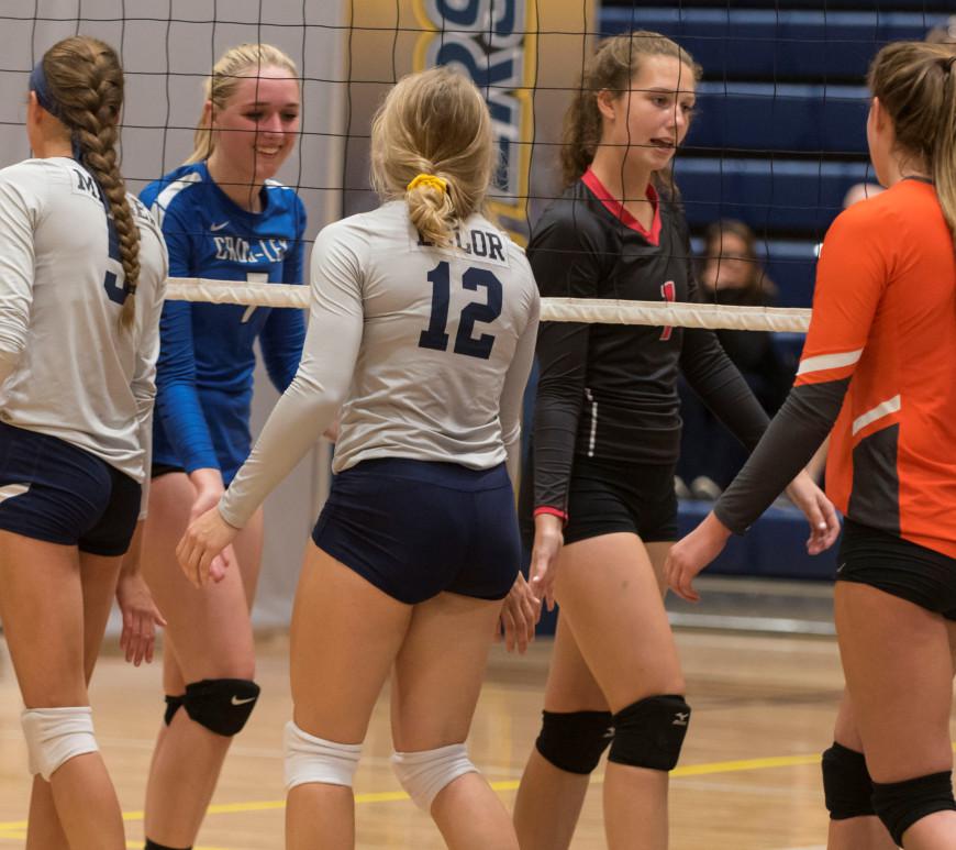 No. 5 & No. 12 | Scrolller