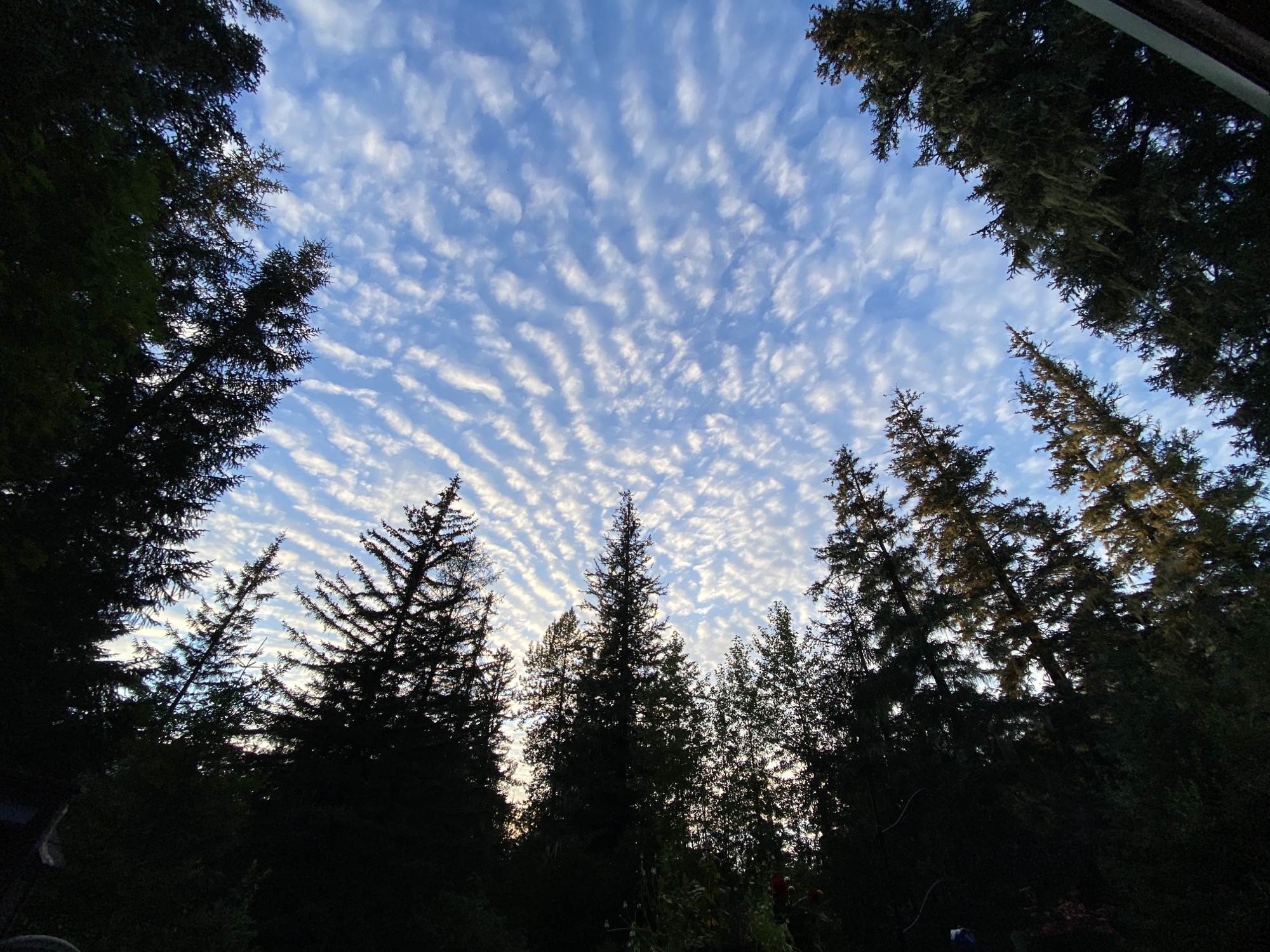 No caption needed | Scrolller