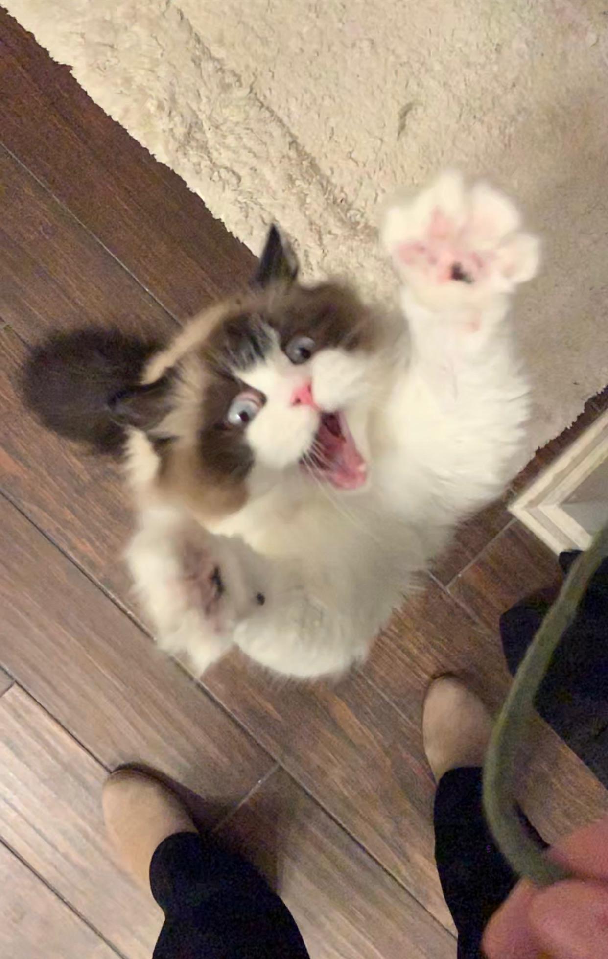 NO! DON’T TOUCH YOUR FACE, DAD! | Scrolller