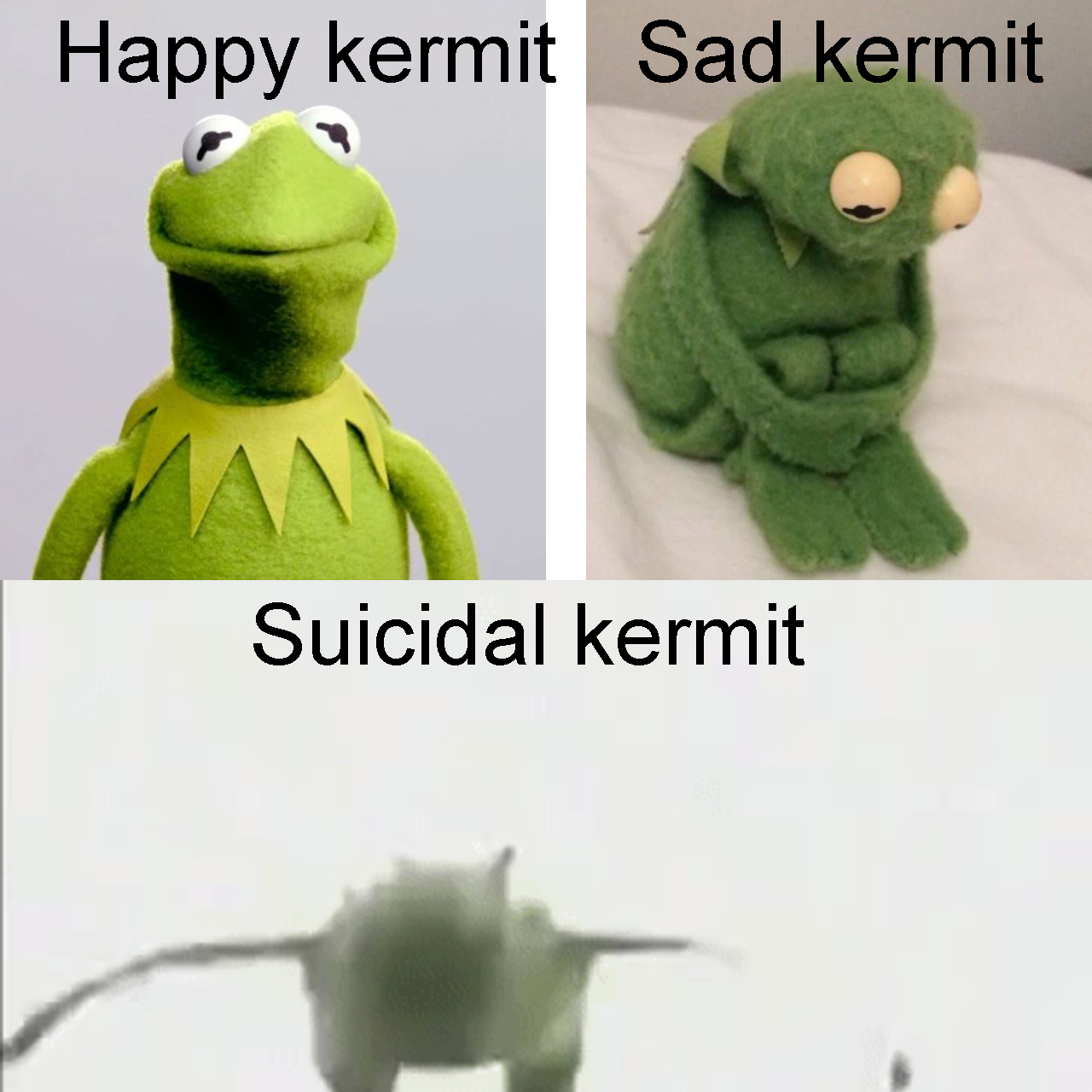 No one: Kermit: | Scrolller