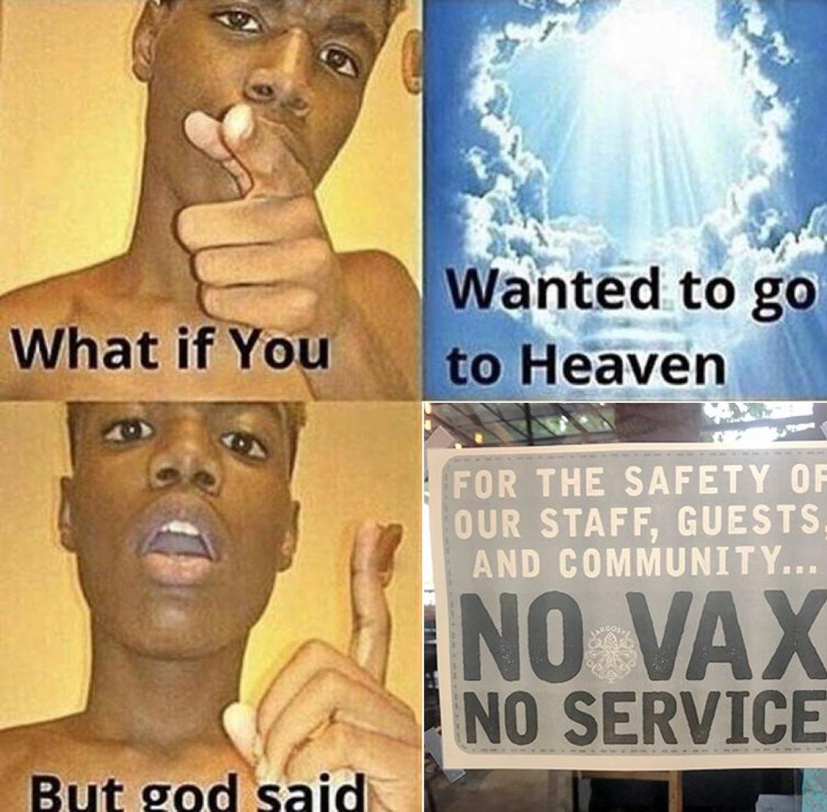 No, Patrick, ivermectin is not a vaccine. | Scrolller