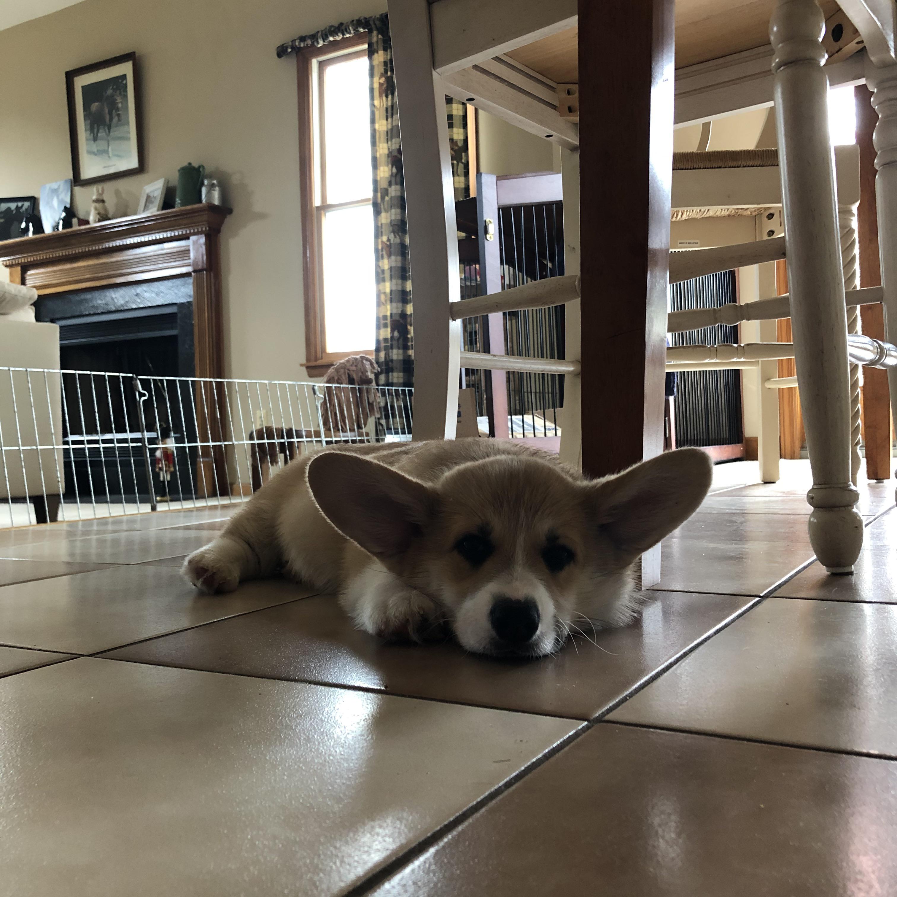 No Sunday Scaries With Benson Scrolller