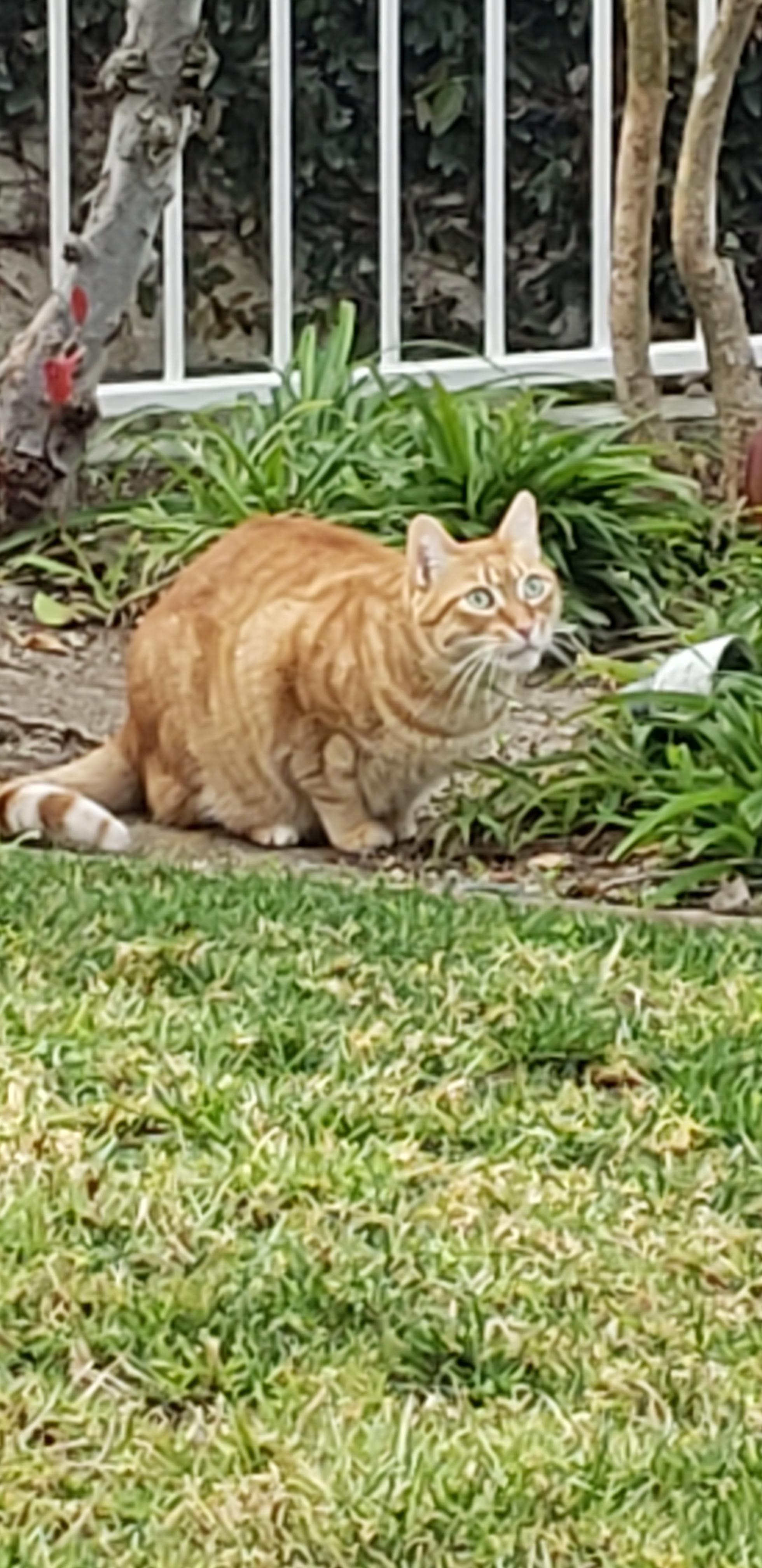 No, this is Phil. | Scrolller