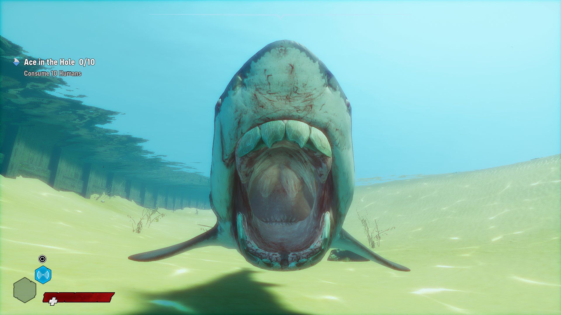 No way, that’s insane. Huge chompes | Scrolller