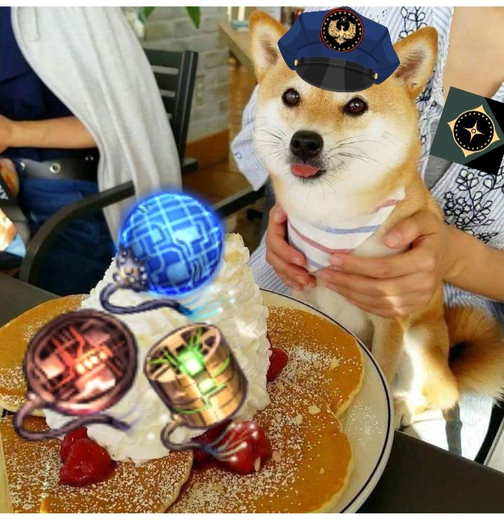 No, you cannot eat that, Bad doggo !! | Scrolller