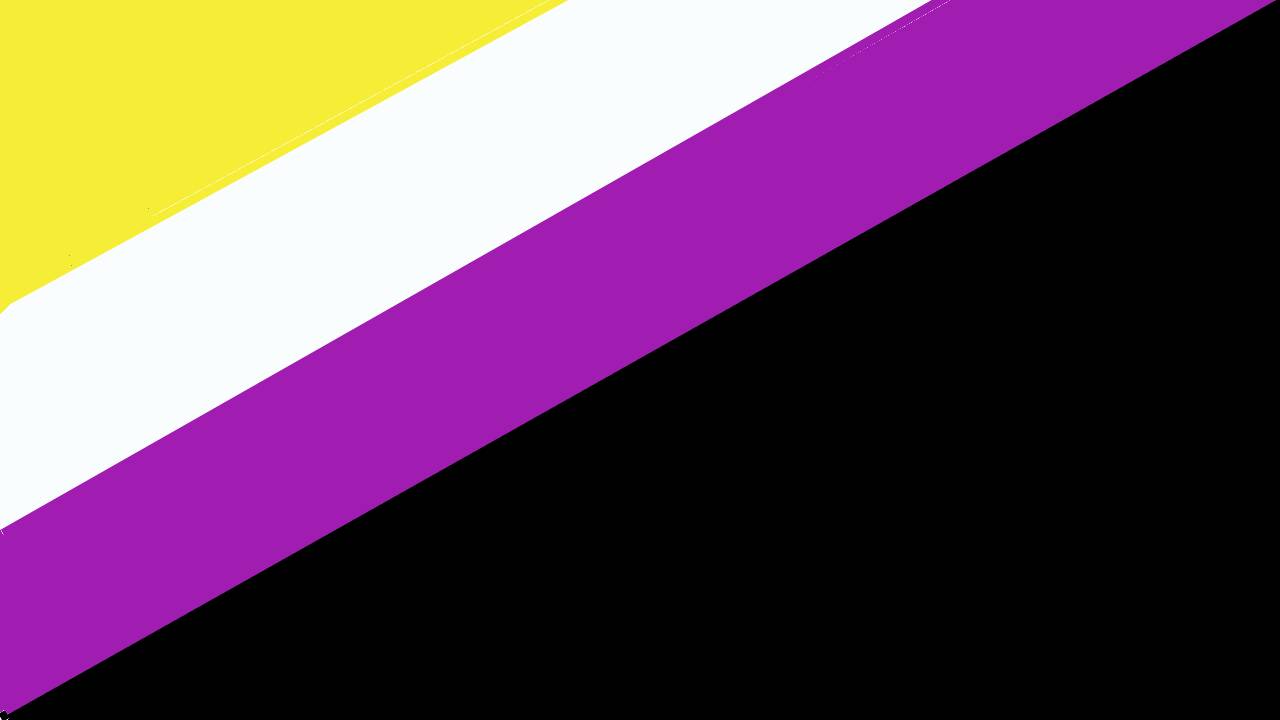Non-Binary Anarchist Flag | Scrolller