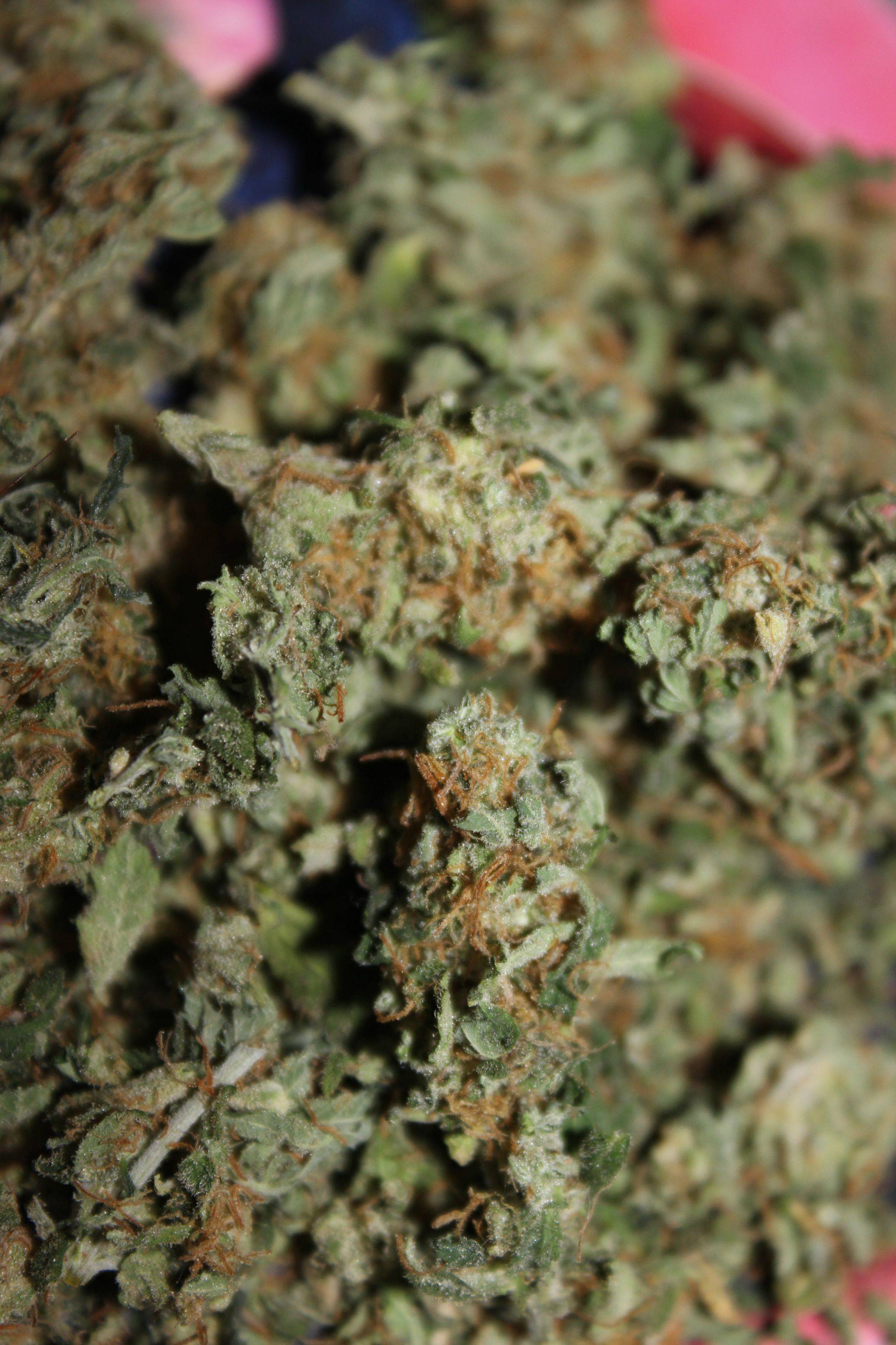 None (11 views) | Scrolller