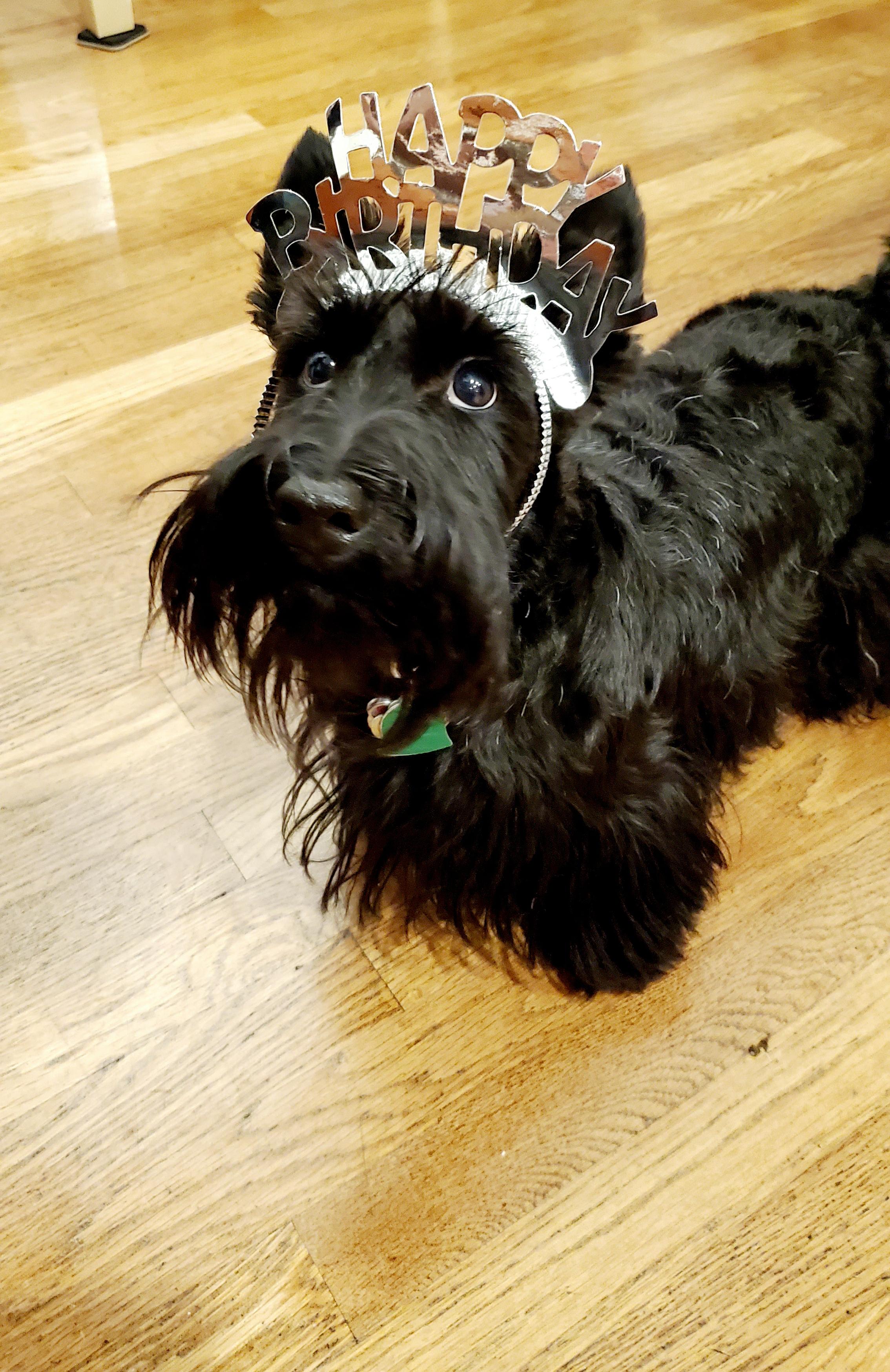 Nora's 1st Birthday!! | Scrolller