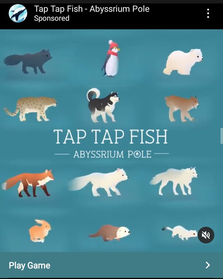 Not a single one of these are fish | Scrolller