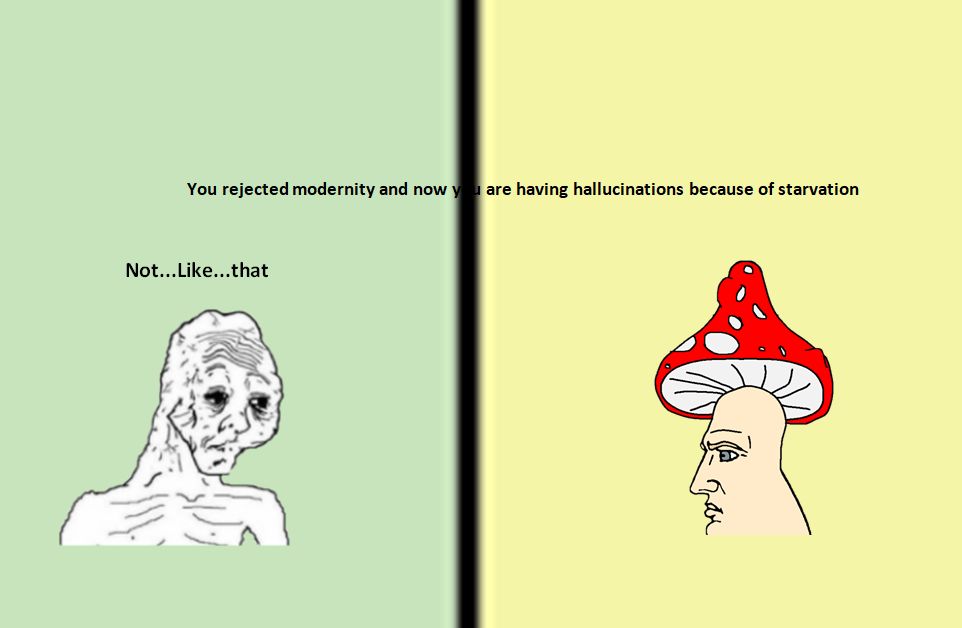 Not like that part 5: Libcenter | Scrolller