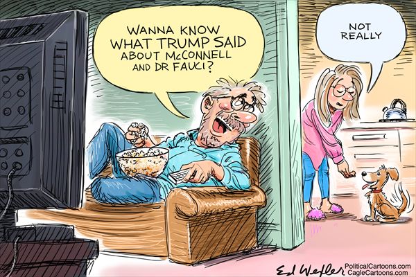 Not Really | Scrolller