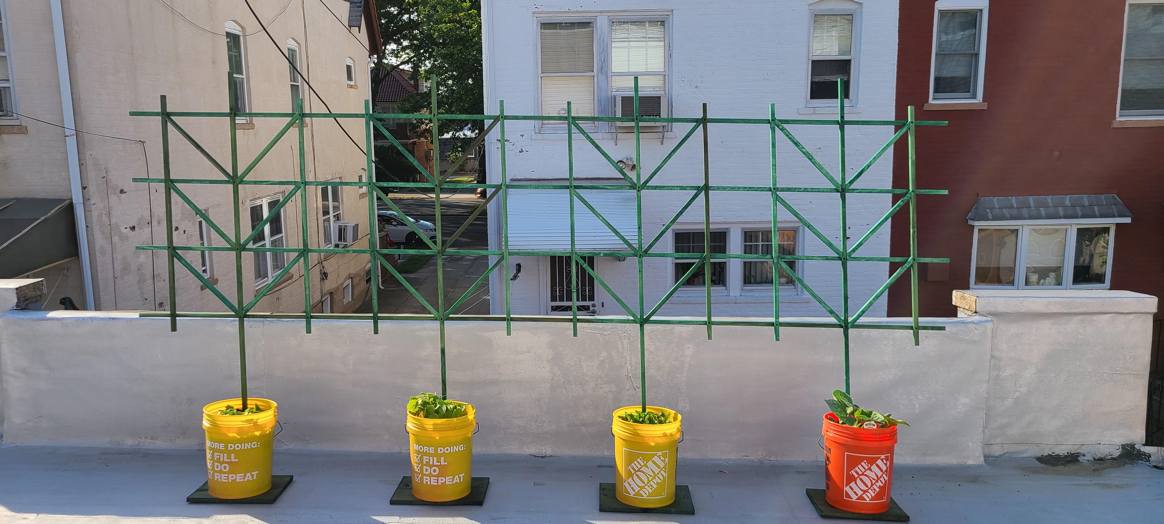 Nothing fancy but I made a trellis that I'm pretty proud of | Scrolller