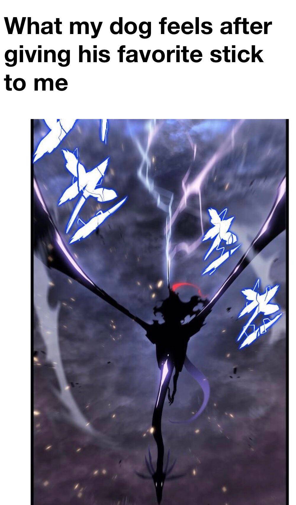 Now fetch | Scrolller