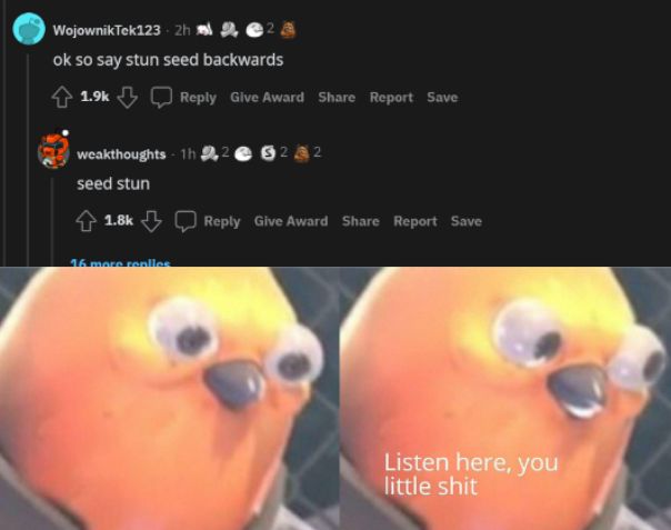 now say stun seed backwards | Scrolller