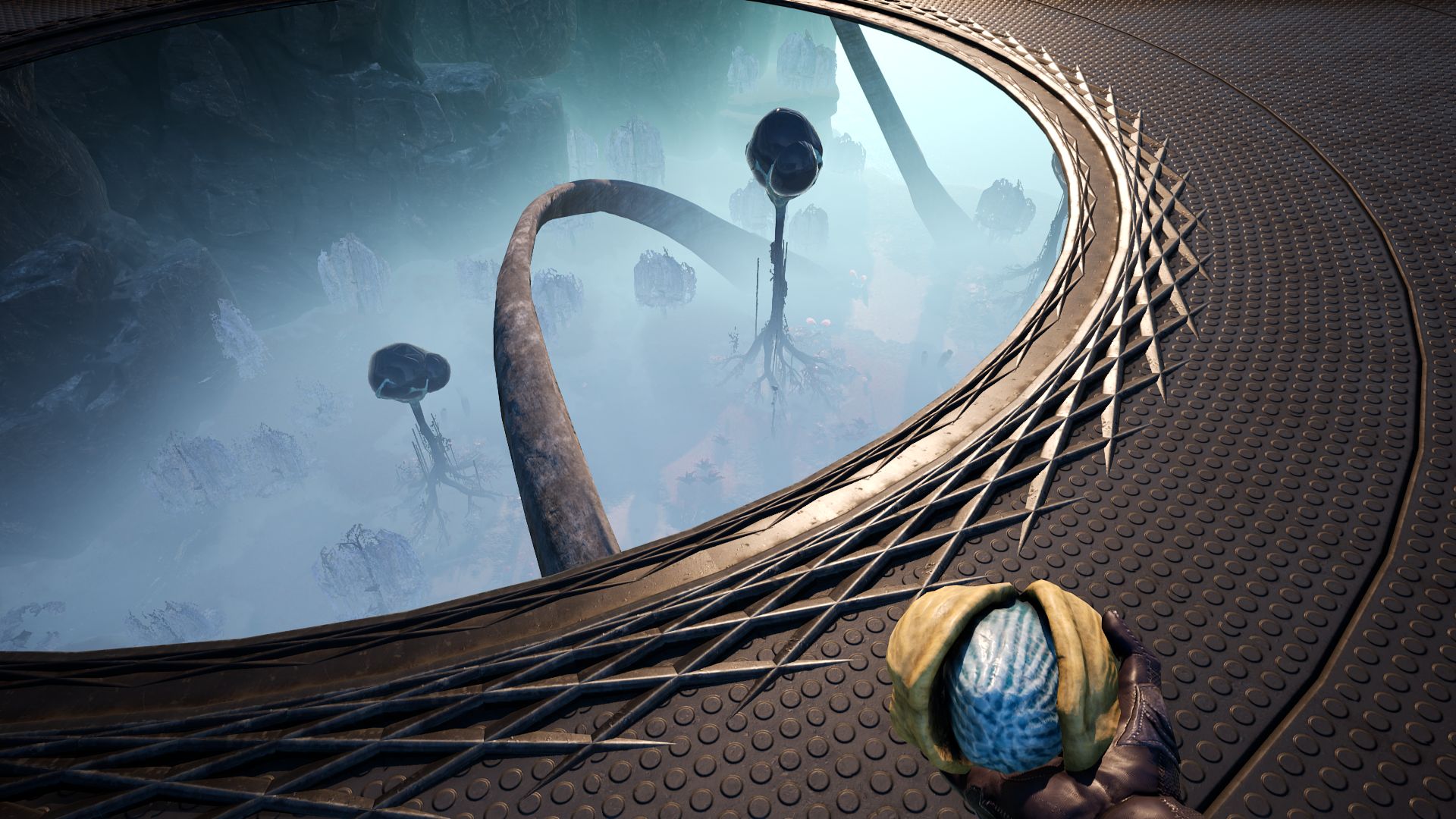 Now that's a circle! | Scrolller