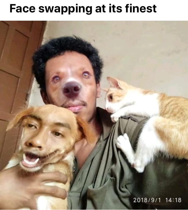 Now that's what I call a face swap | Scrolller