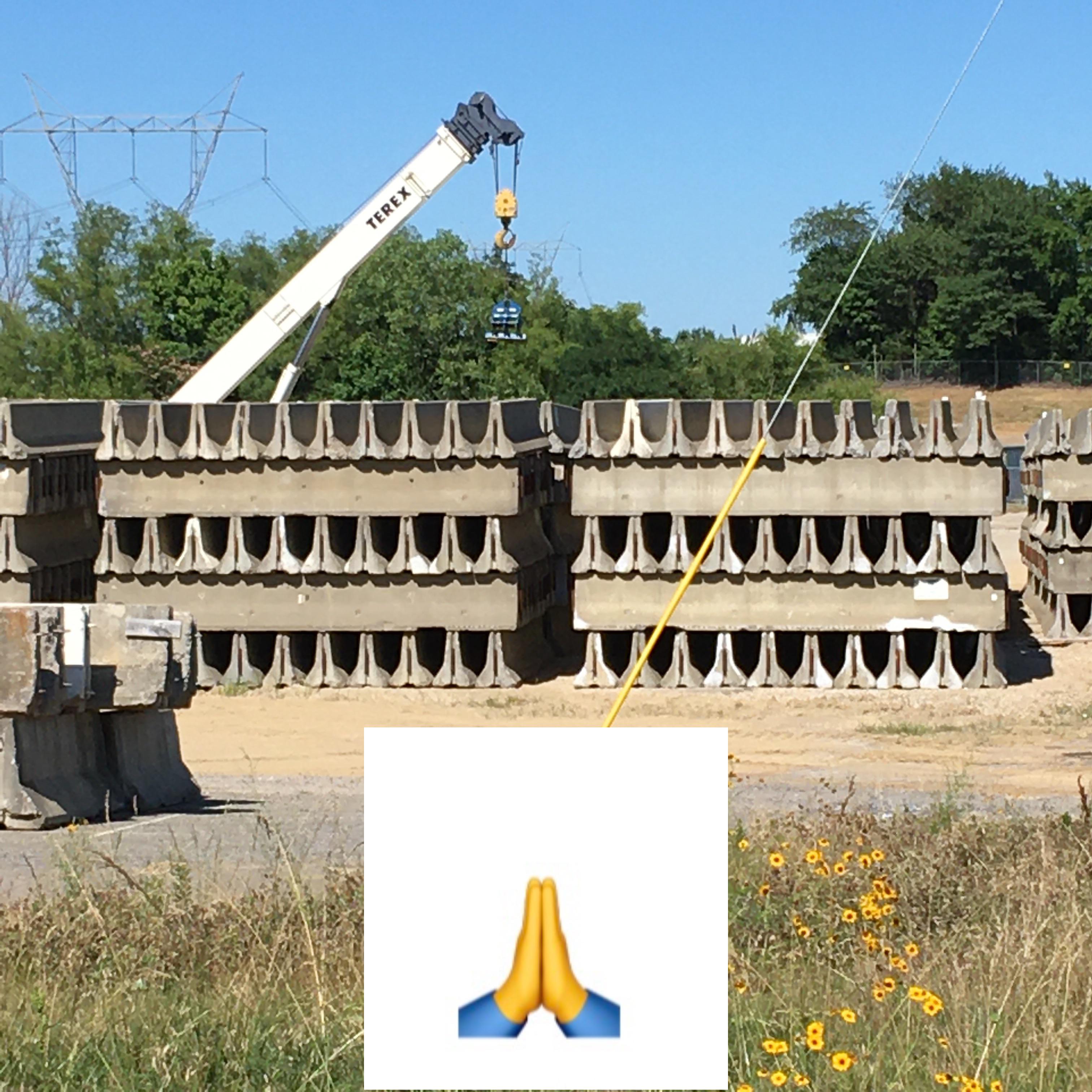 Now we know | Scrolller