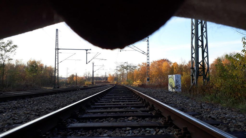 Nutscaping on the track | Scrolller