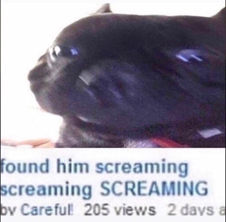 O he screaming | Scrolller