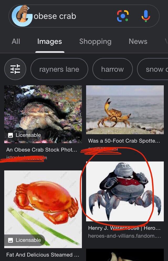 Obese crab | Scrolller