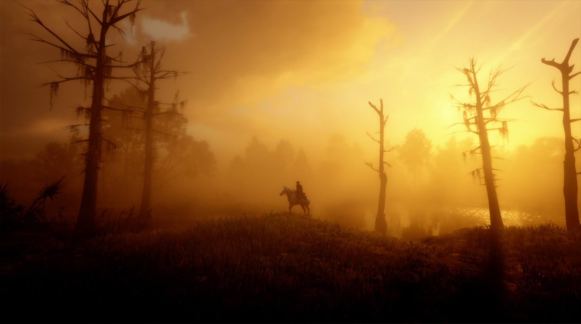 Obligatory Golden Hour Swamp Photo | Scrolller