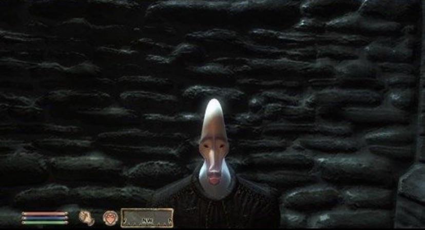 Oblivion rule | Scrolller