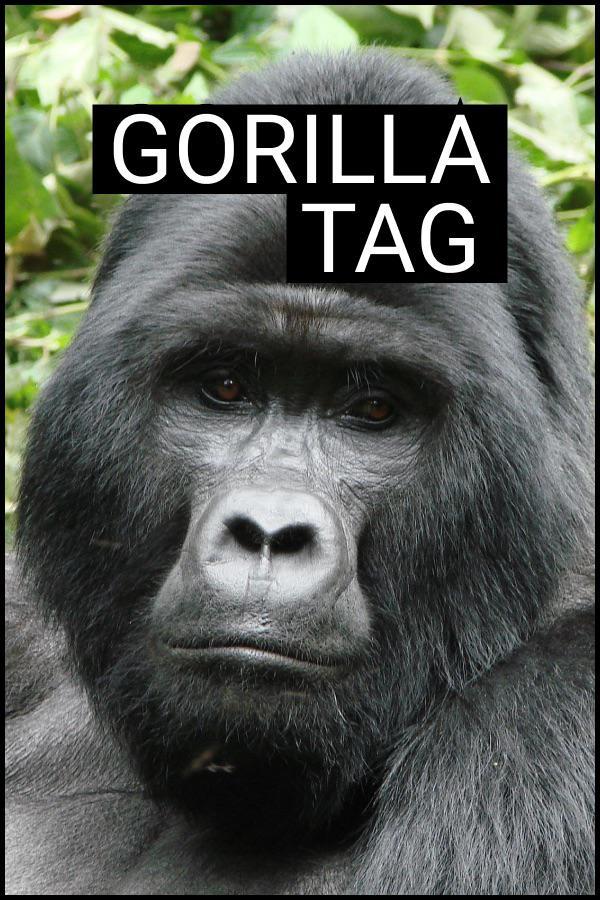 OC Gorilla Tag | Scrolller