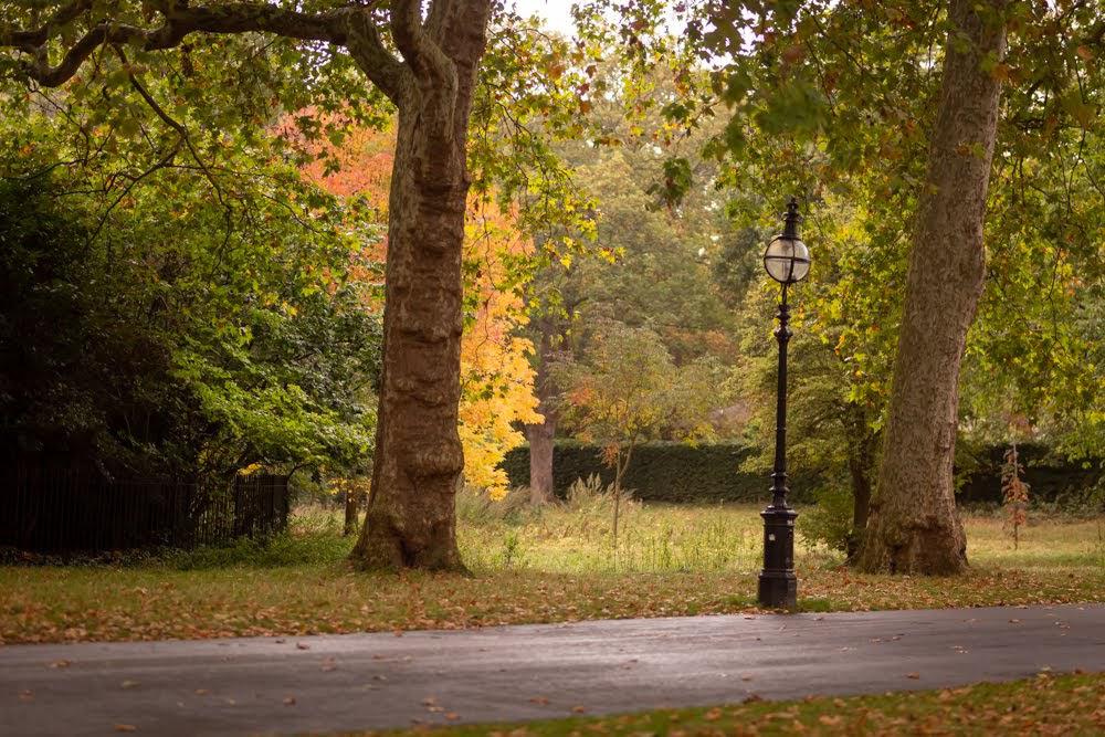 Oc Hyde park, London | Scrolller