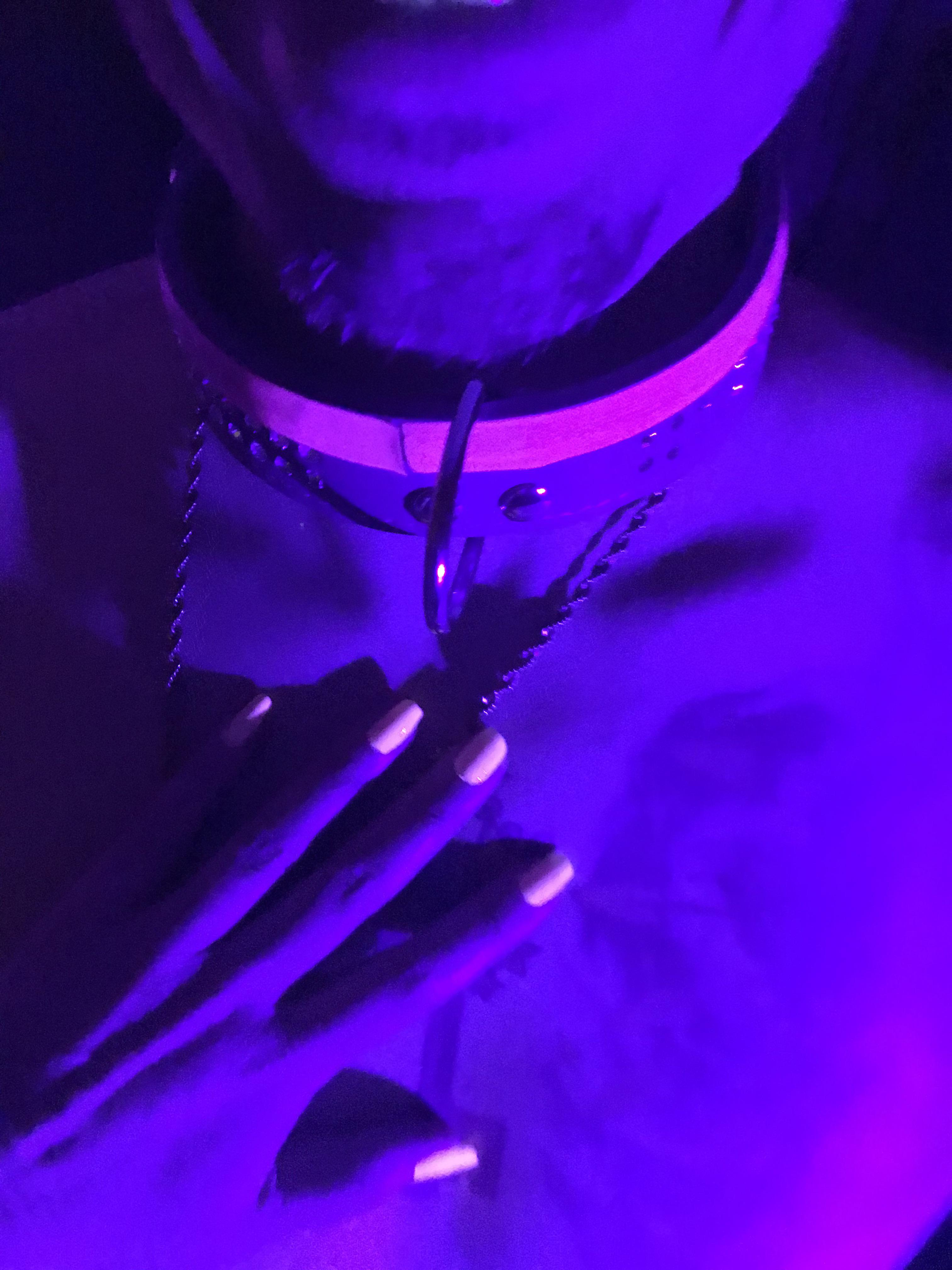 Officially collared by my wife | Scrolller