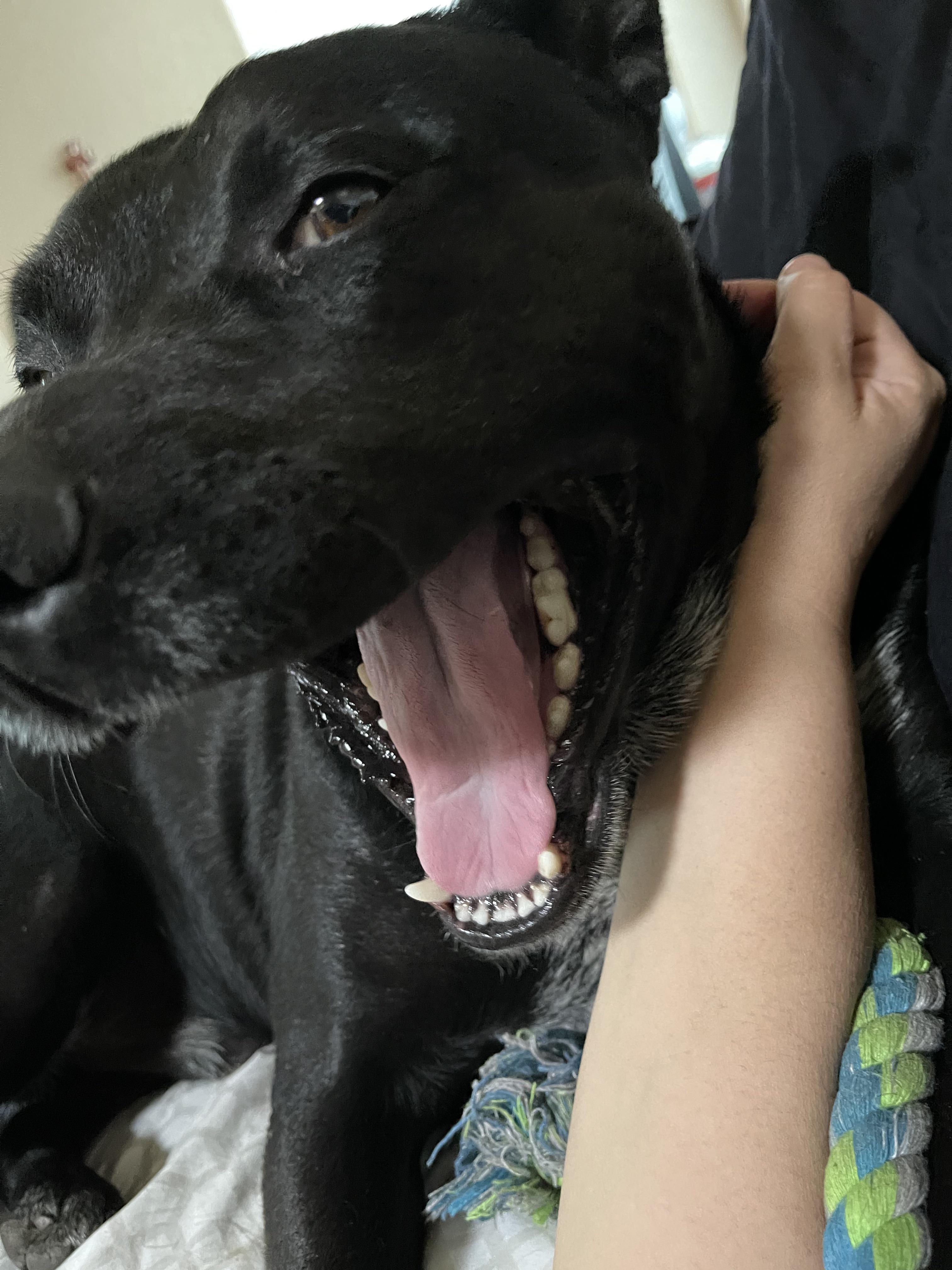 Oh Buster… | Scrolller